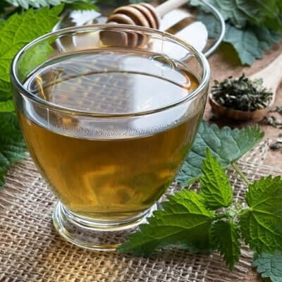 Buy Nettle Tea Online - Order Stinging Nettle Leaf Tea and Nettle Root