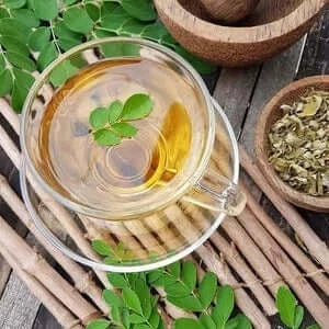 Buy Moringa Tea Online at Best Prices on Teacurry.us