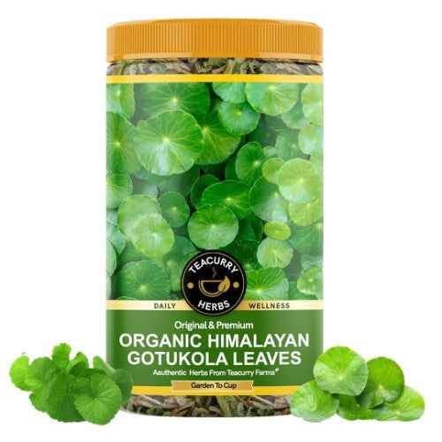 Buy Organic Himalayan Gotu Kola Leaves - Improving Memory, Alleviating ...